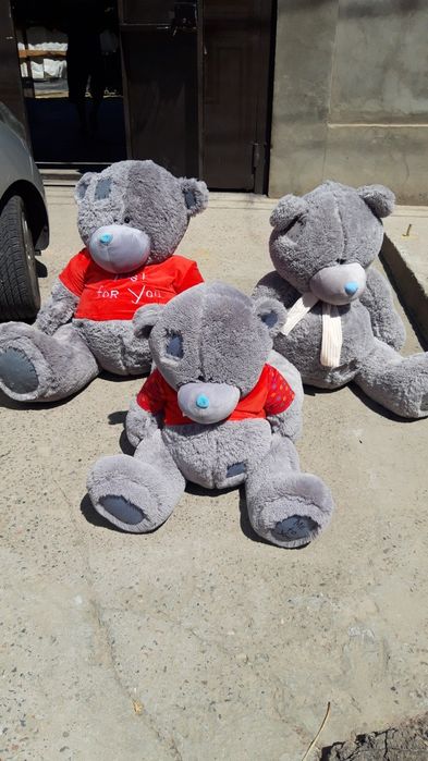 Teddi Teddiy orginallari arzon narxlarda: 160 000 сум - Подарки Ташкент ...