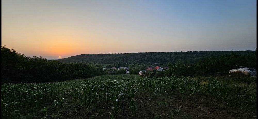 Vând teren cu priveliste unica-7500m² Teslui • OLX.ro