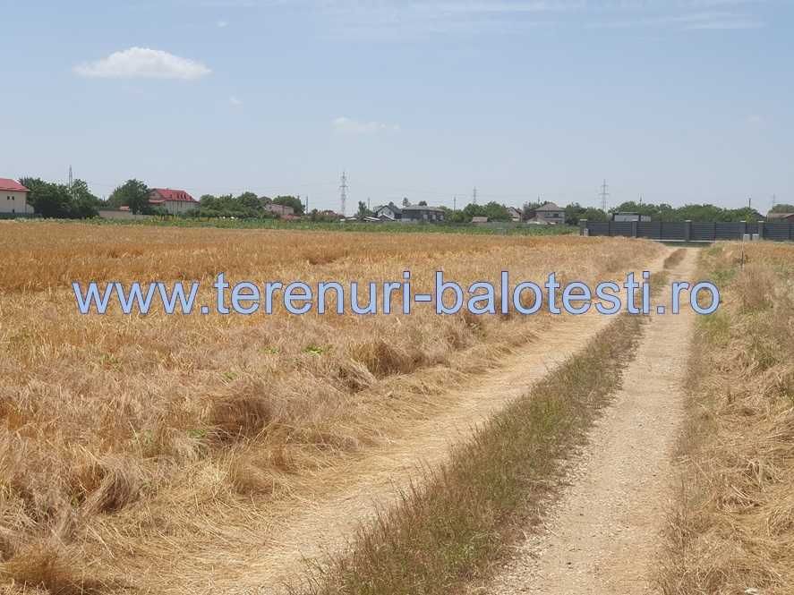 Lot Balotesti,zona padure,drum amenajat,case noi, 28000 euro Balotesti ...