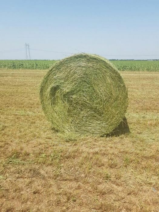 Baloti lucerna rotunzi 120x120, eco Greceanca • OLX.ro