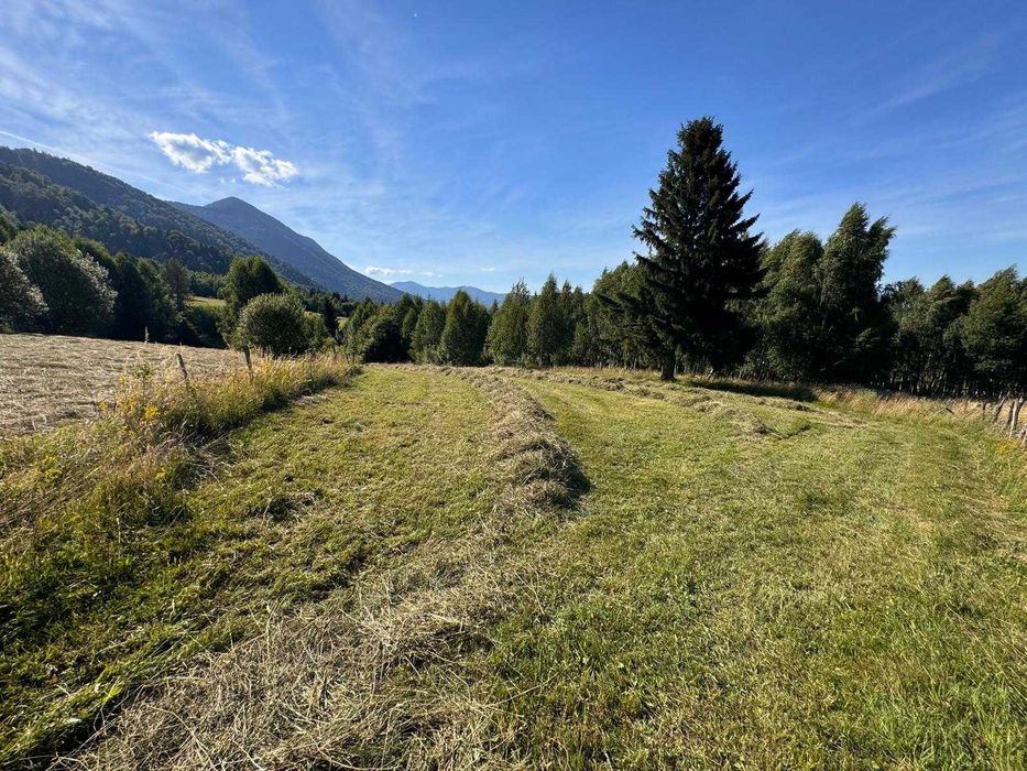 Teren zona de munte, intravilan, Tohanita, Zarnesti. Bucuresti Sectorul ...