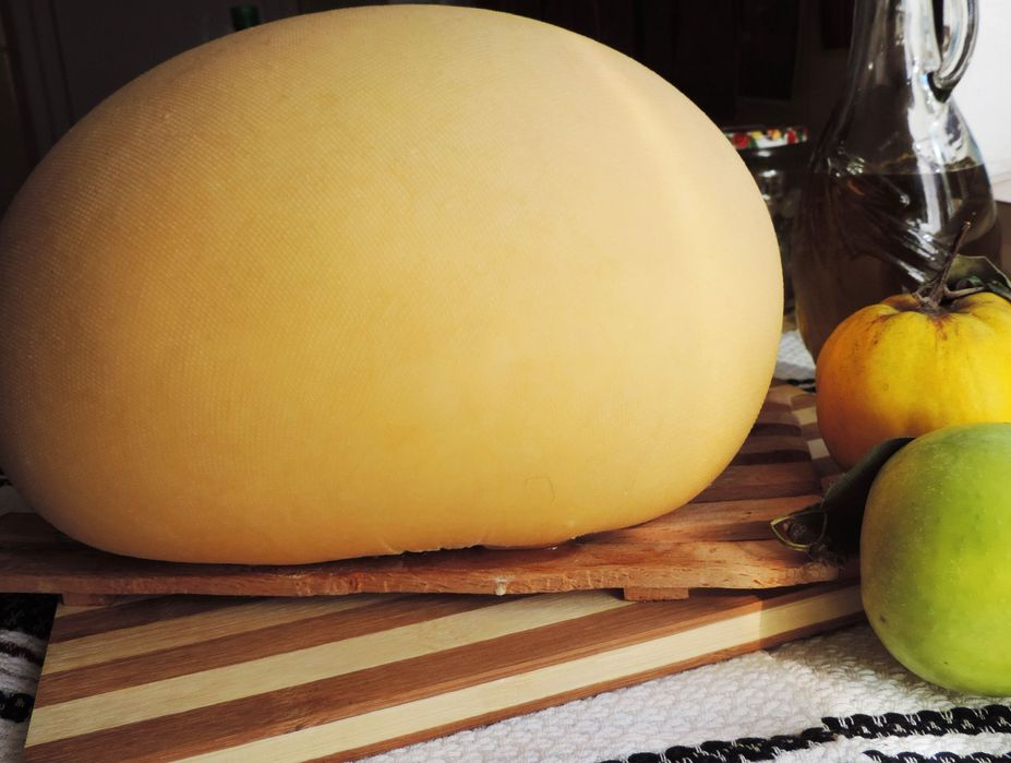 Cas de oaie/vaca Turda • OLX.ro