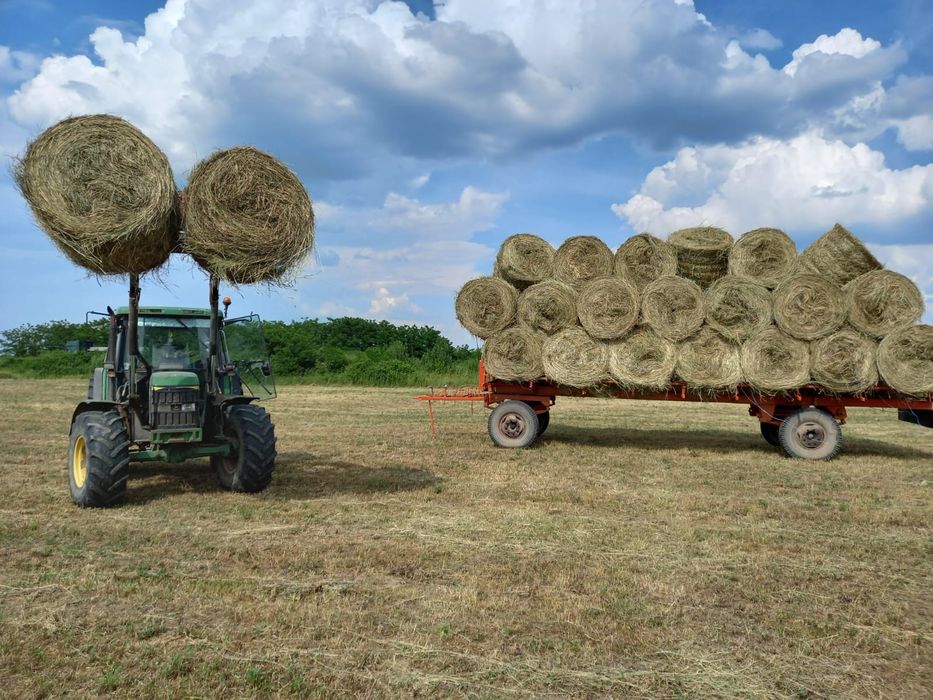 Baloti paie fan lucerna trifoi rosu la 18 km de timiisoara Timisoara ...
