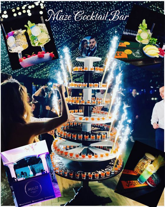 Cocktail Bar & Tort Shoturi /Bar mobil /Evenimente Private & Corporate ...