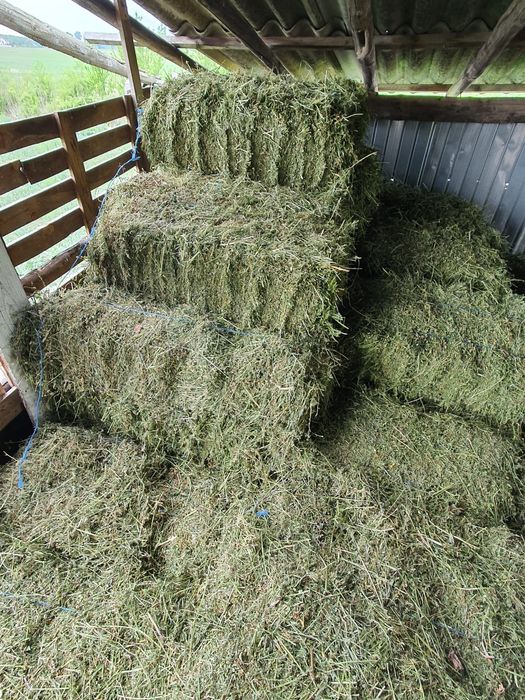 Baloti lucernă calitate foarte buna Ploiesti • OLX.ro