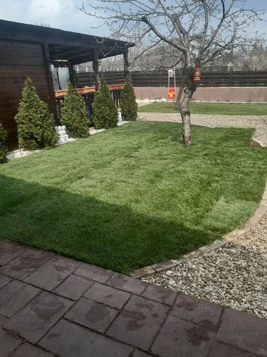 Gazon rulou Piatra naturala Gratare traditionale Plante ornamentale ...