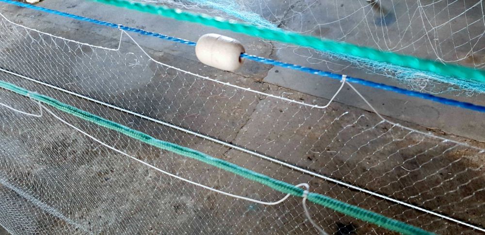 Plase pescuit tip setca /ava - oblete Suhaia • OLX.ro