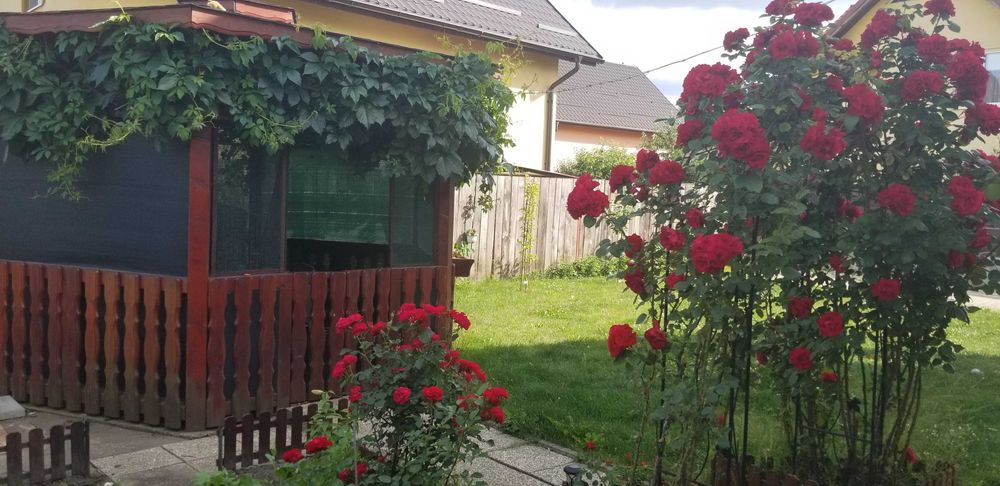Casa Stupini complet mobilata, curte proprie cu foisor. Brasov • OLX.ro