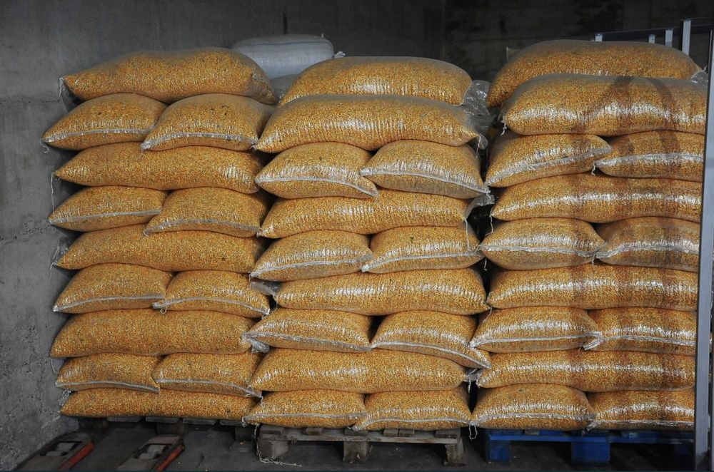 Porumb grau floarea soarelui tarte srot soia mazare orzoaica uruiala ...