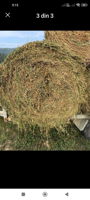 Boloti fan ,lucerna,trifoi150x120.i+transport Ciurila • OLX.ro