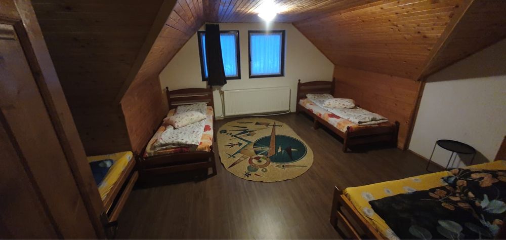 Cabana de vanzare Marisel/Rusesti Lapustesti • OLX.ro