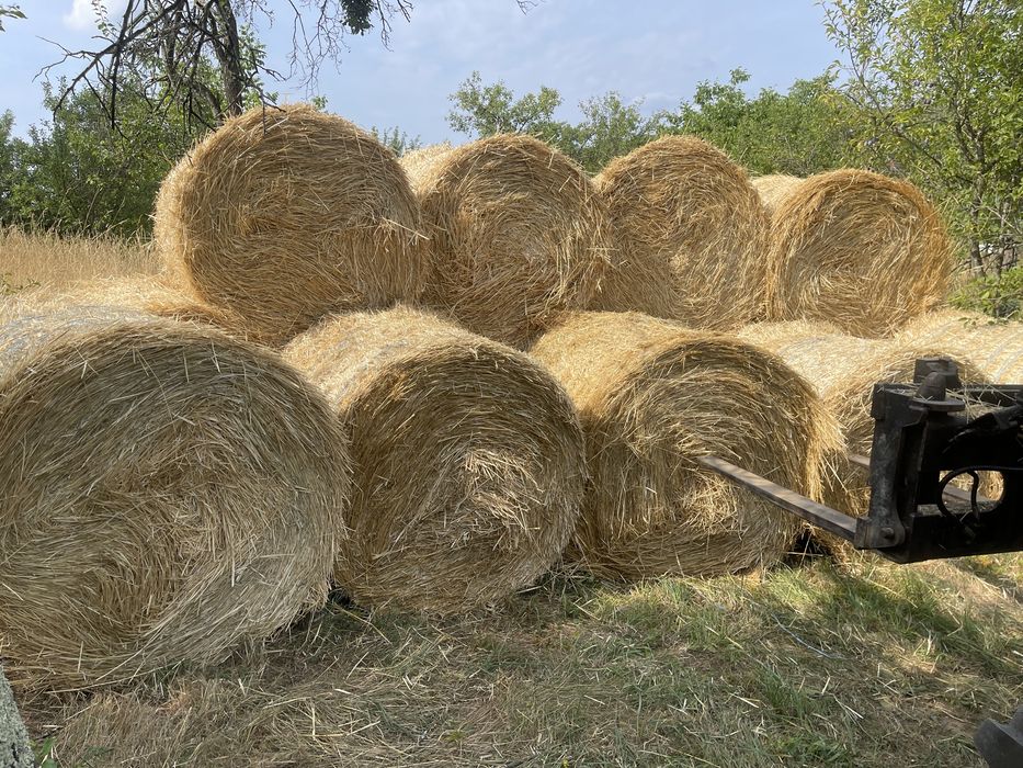 Balot baloti Rotunzi de paie cu plasa Zalau • OLX.ro