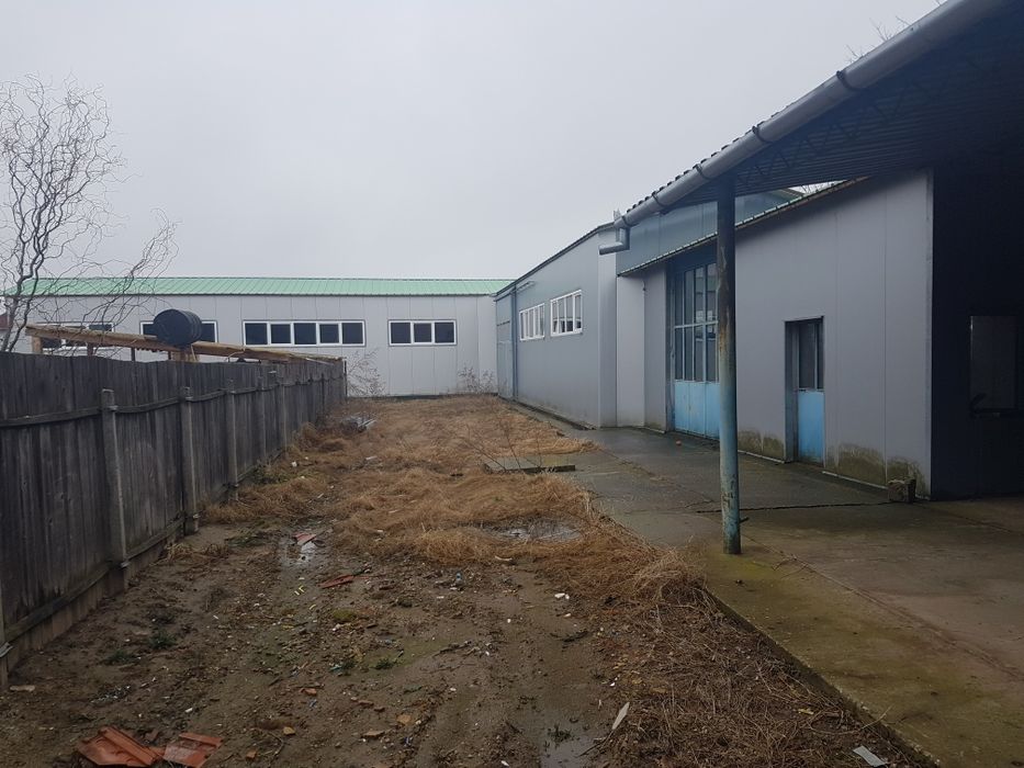 Casa de vanzare renovata Cenad • OLX.ro