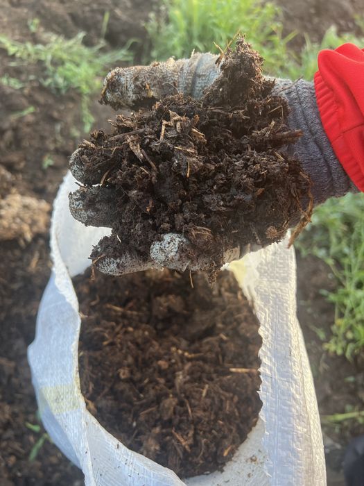 Mranita pentru gradina (balegar de vaca invechit) Voluntari • OLX.ro