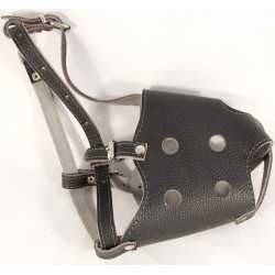 cainele boxer Braila - Anunturi gratuite