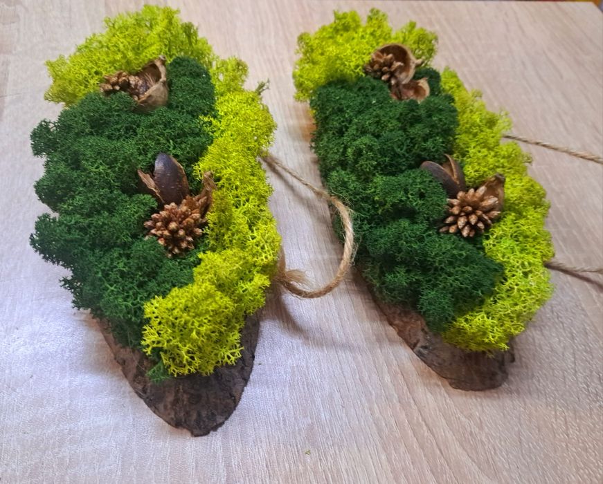 "СВЕЖИ" декорации със скандинавски мъх върху дървена основа гр. Асеновград • OLX.bg