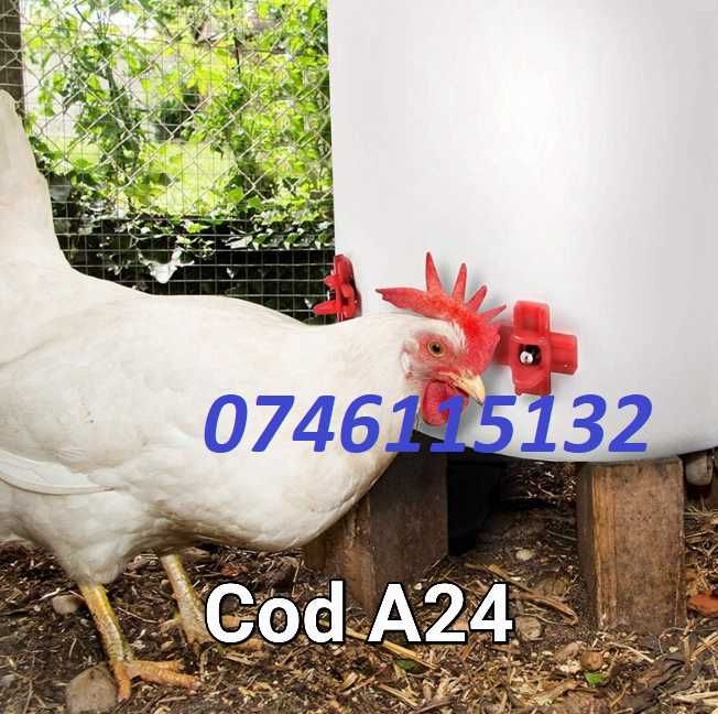 Adapatori pt gaini pui fazani porumbei prepelite- pe galeati/bazin-A24 Targu-Mures • OLX.ro