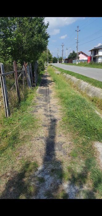 Teren de vânzare Preajba Mare Targu Jiu • OLX.ro