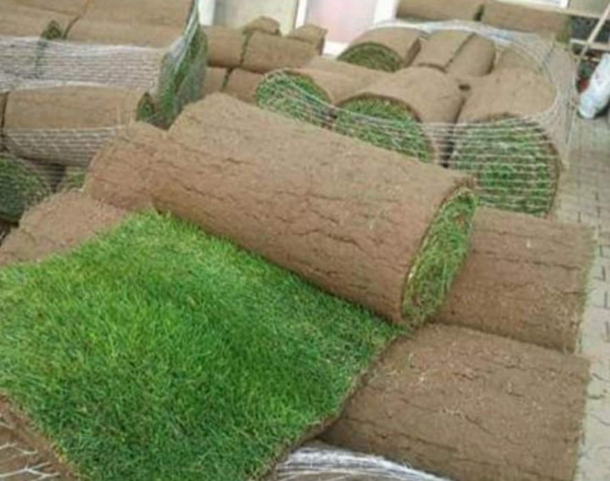 Gazon rulou sport Piatra naturala Gratare tradiționale Plante ornament ...