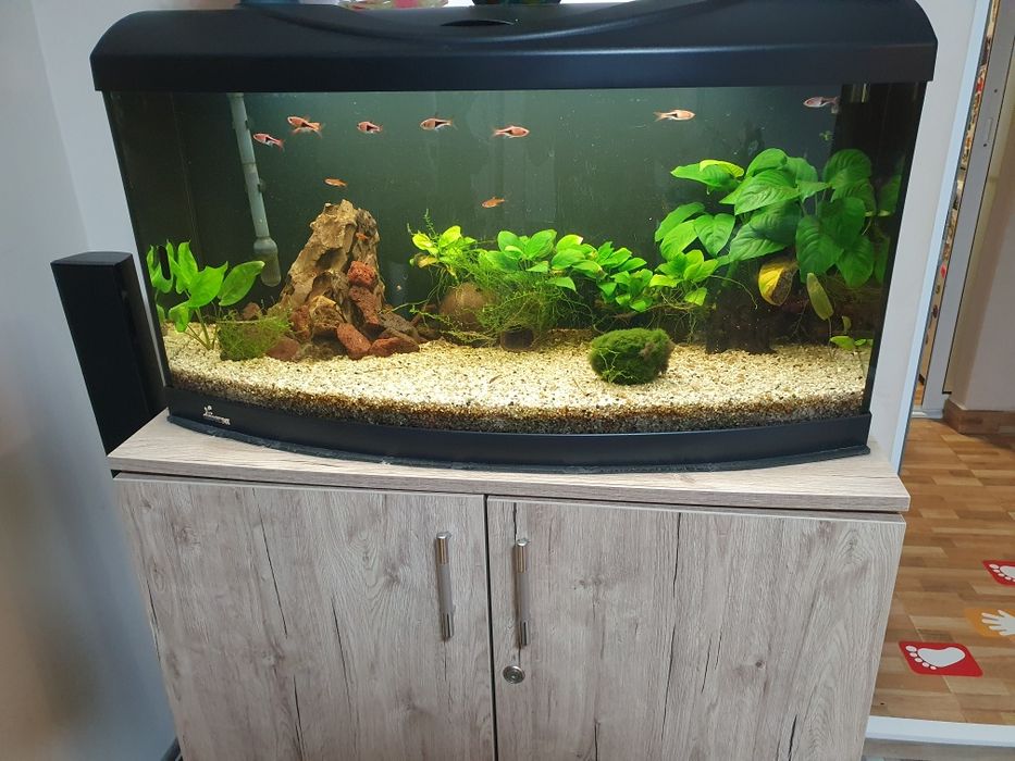 Vand acvariu diversa 80 112litri Sarbi • OLX.ro