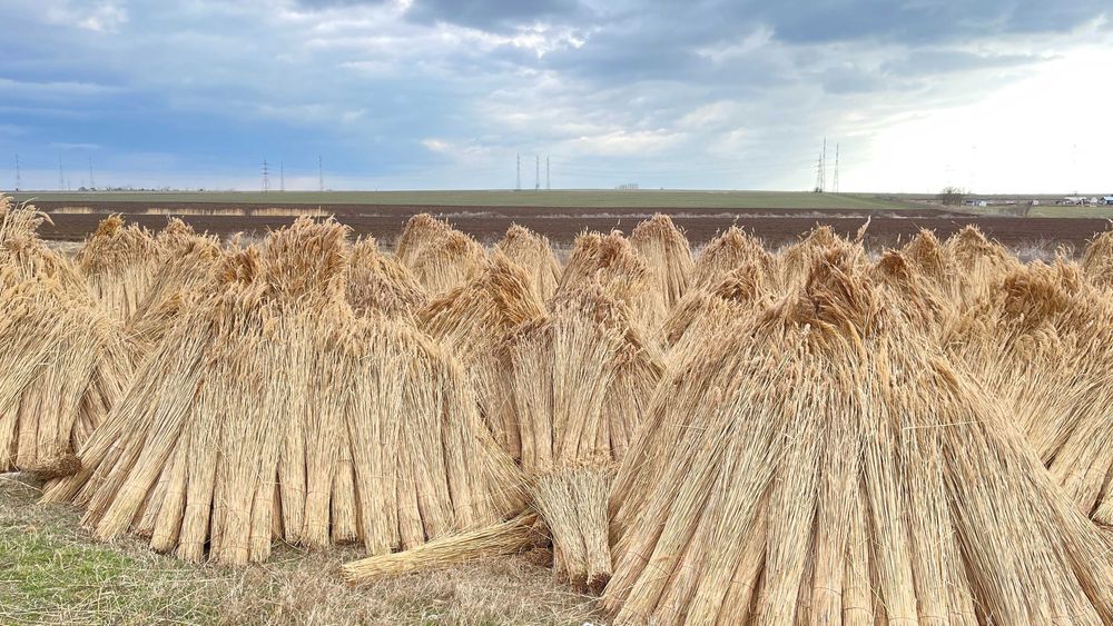 SNOPI STUF/ REED BUNDLES, Acoperis stuf, Umbrele stuf, FACTURA ...