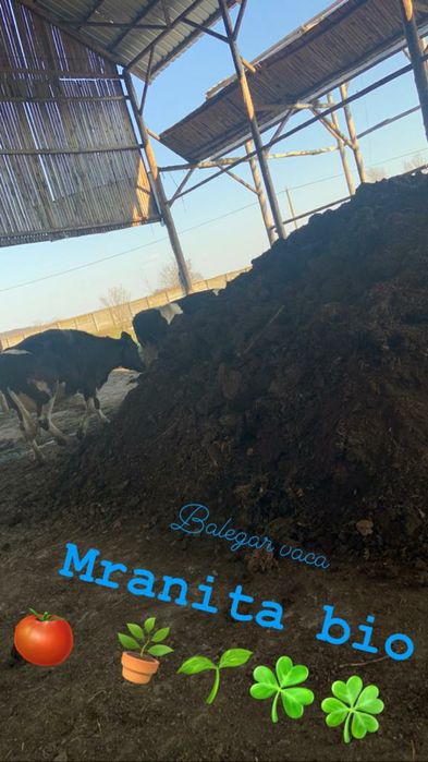 Mranita Solarii,balegar invechit,ingrasamant bio,fertilizanți legume ...