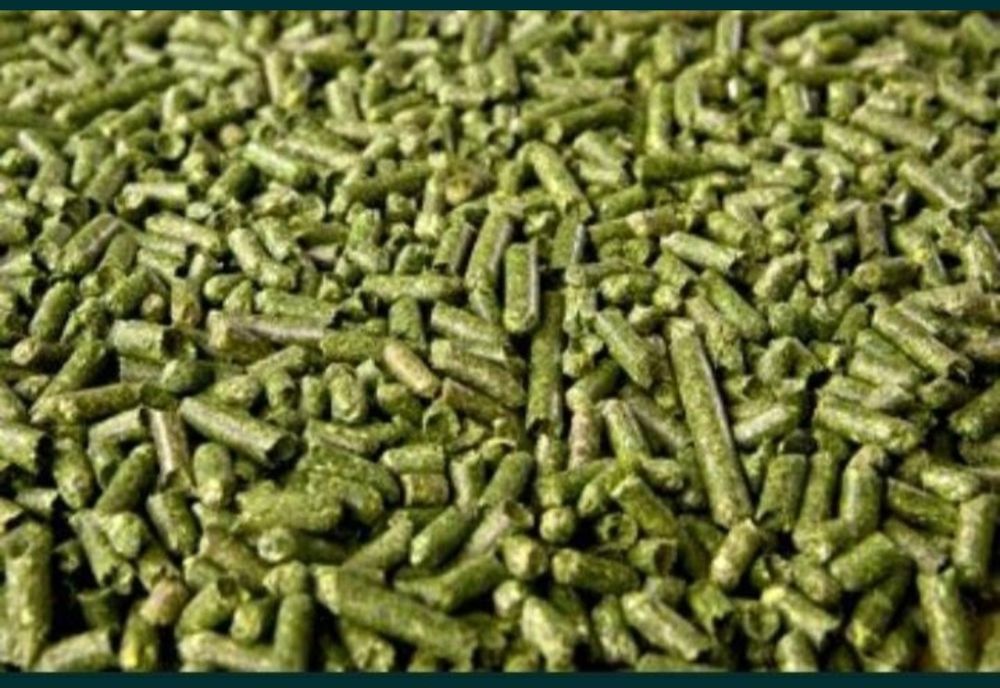 Granule de lucerna Vascauti • OLX.ro