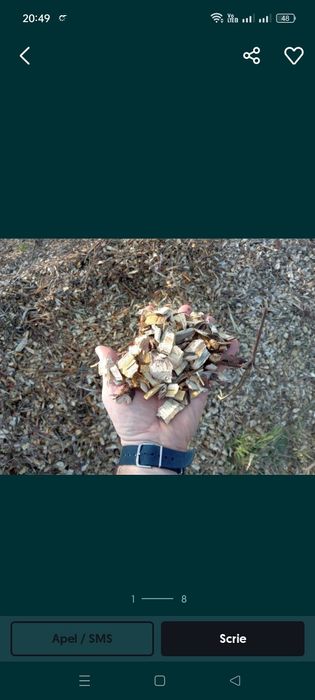 Defrisare/Împrejmuire teren/forez gauri pt pomi,/tocator crengi Pitesti ...