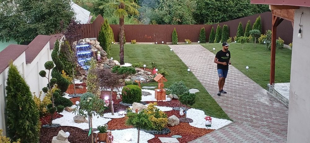 Amenajare gradina cu gazon, plante și pavaj Brasov • OLX.ro