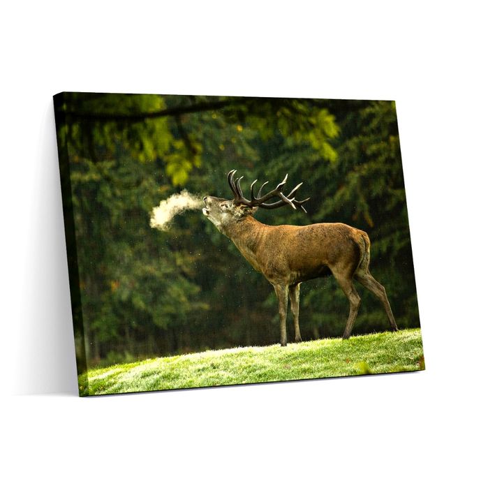 Tablouri Vanatoare (Cerb, Caprior, Mistret, Fazan, etc) Bucuresti Sectorul 6 • OLX.ro