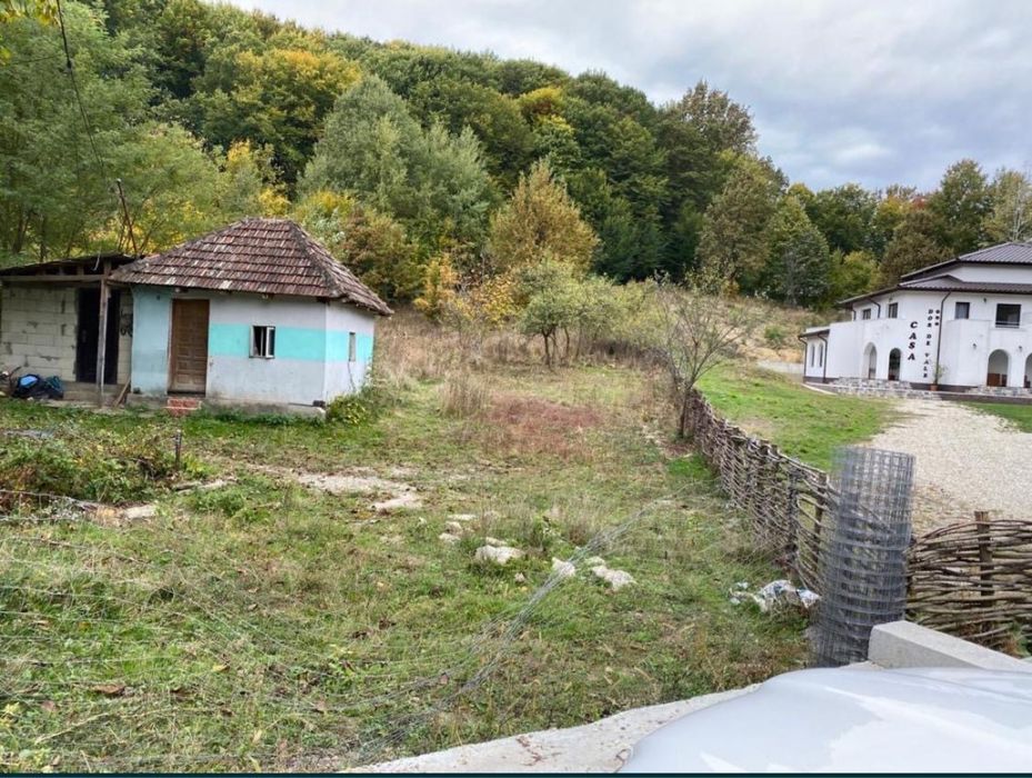 Teren intravilan Bascov,la liziera padurii Bascov • OLX.ro