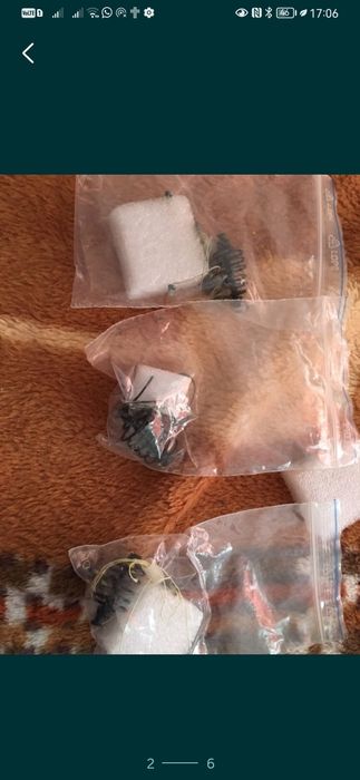 Momitor pescuit crap și caras cu arc Bacau • OLX.ro