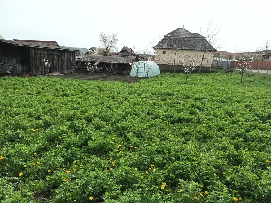 Casa de vanzare in centrul Comunei Valea Larga Valea Larga • OLX.ro