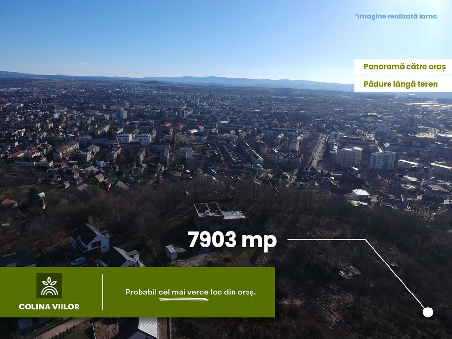 TEREN DE VÂNZARE-Colina Viilor, în cel mai verde loc din oraș! Baia ...