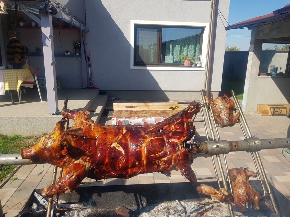 Protap rotisor porc vitel miel , nunti botezuri evenimente Constanta • OLX.ro