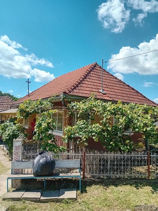 Vând casă la țară Benesat • OLX.ro