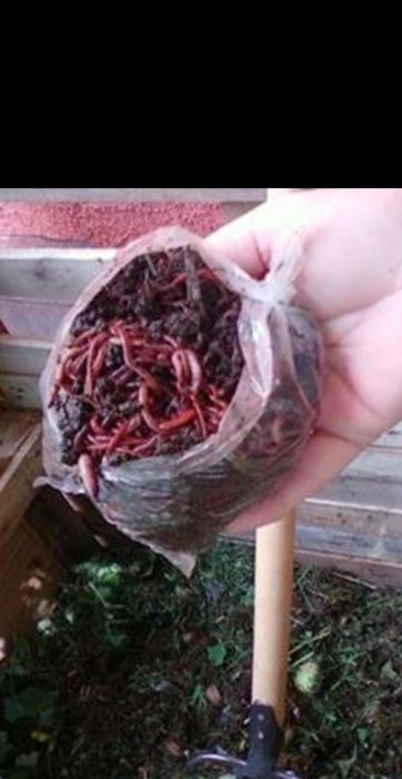 Rame pentru pescuit/compost Craiova • OLX.ro