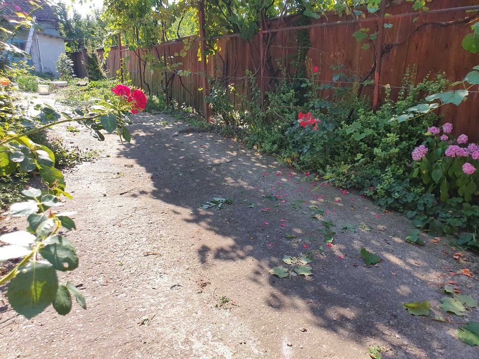 Casa cu D+P inalt,sura mare si 1100mp teren,in satul Colun -40km Sibiu ...