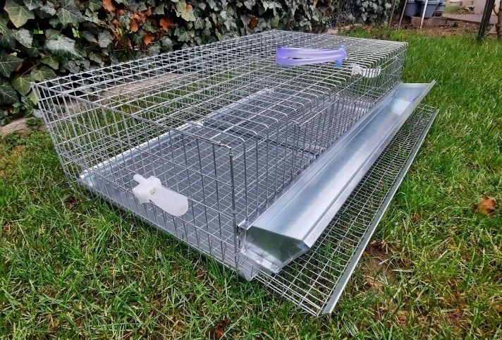 Cusca prepelite outoare Iasi • OLX.ro