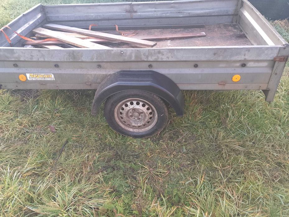 Remorca auto an 2016 Timisoara • OLX.ro