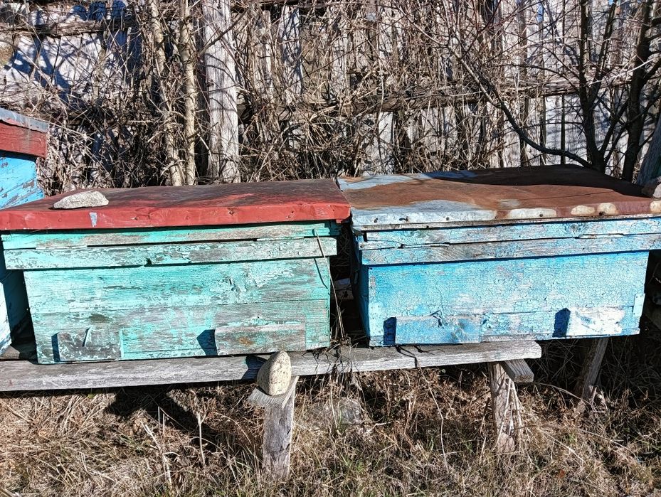 Stupi si rame folosite Parlagele • OLX.ro