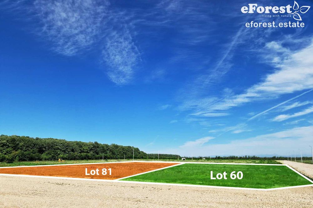 Loturi de casa langa padure Crevedia Dambovita Crevedia • OLX.ro