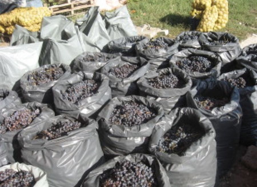 Здрави големи найлонови чували от полиетилен за грозде сливи и други гр Пловдив Сточна гара