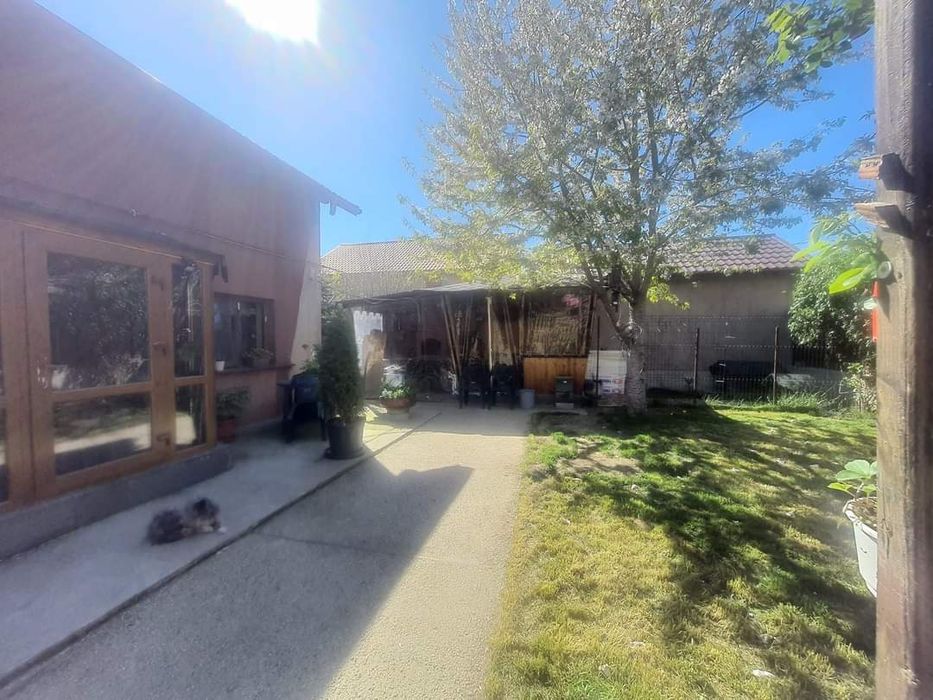 Casa Poiana jud. Constanta Poiana • OLX.ro