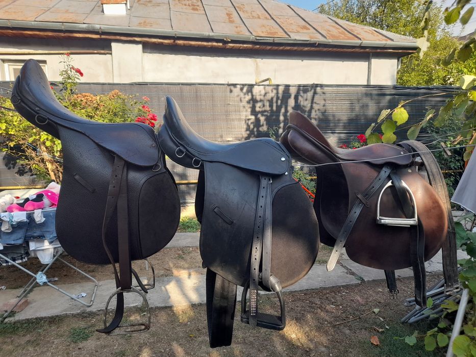 Sa,săi calarie echitație Urlati • OLX.ro