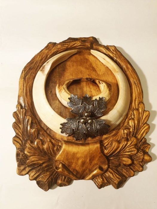 Trofeu cu colti de mistret pe panoplie sculptata ( coarne, lopatar ...