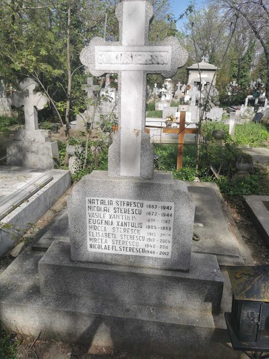 Vand loc de veci in Cimitirul Bellu- langa Aleea Artistilor Bucuresti ...