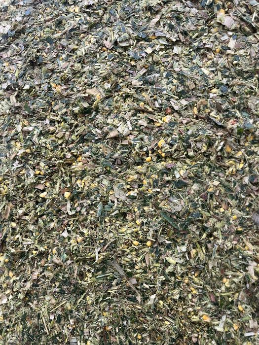 Vindem Baloti De Porumb Siloz 1000 KG Piscu • OLX.ro