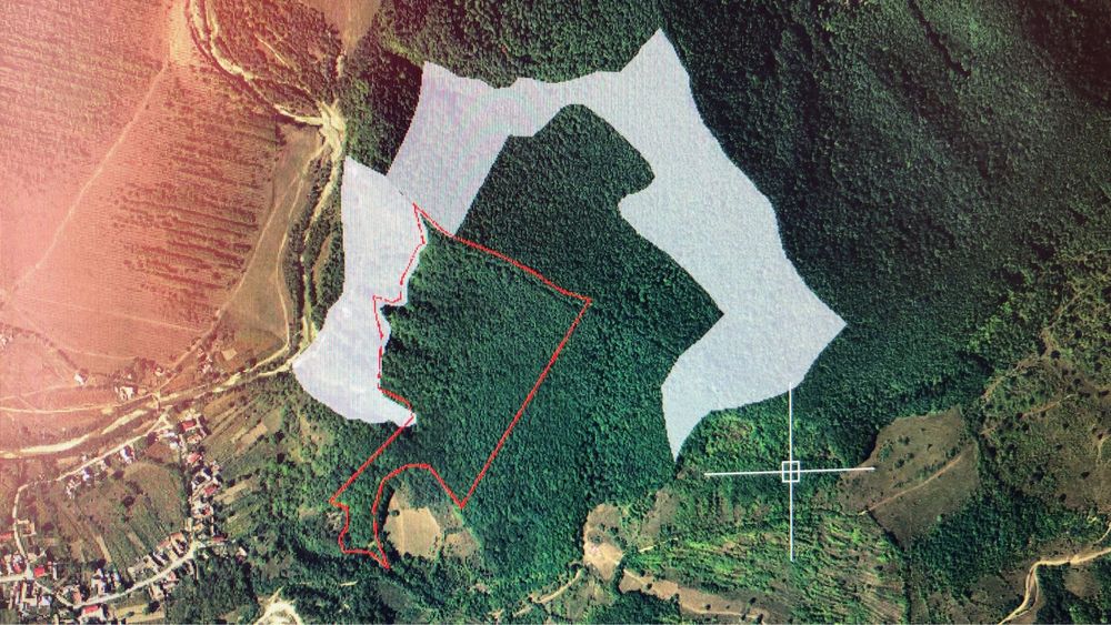 Vand teren forestier (padure stejar) Targu-Mures • OLX.ro