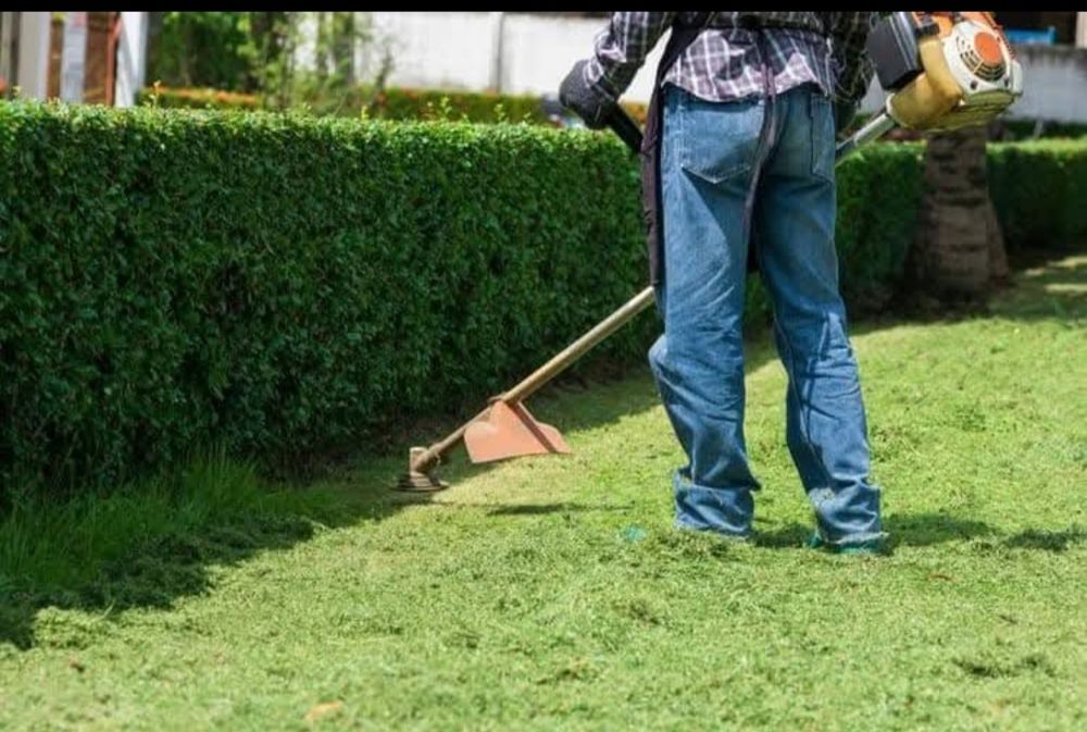 Curatat gradini copaci tuns iarba defisari etc Malu Mare • OLX.ro